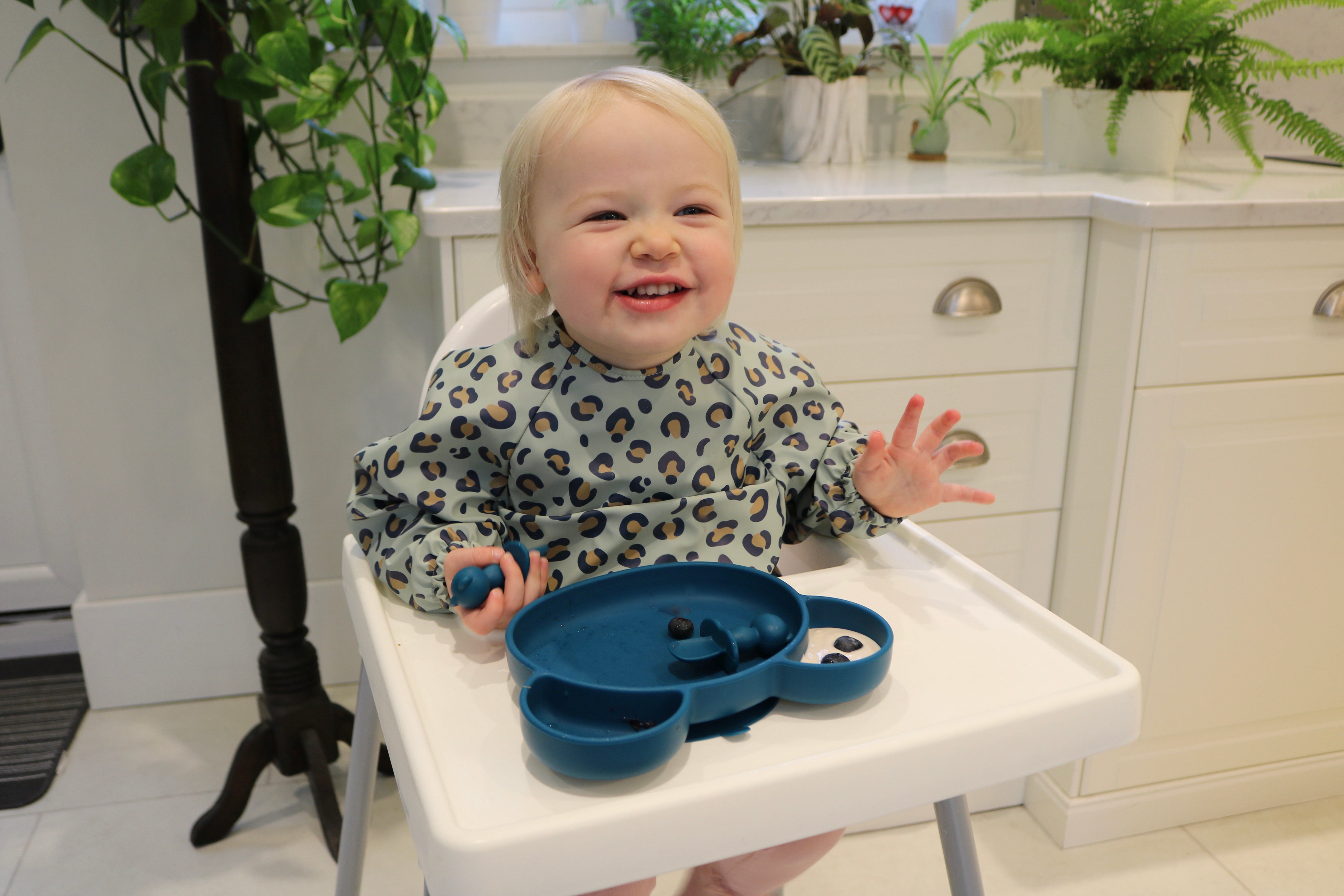 Shop Chomp Toddler Mealtime Essentials (12months+) I High Quality ...