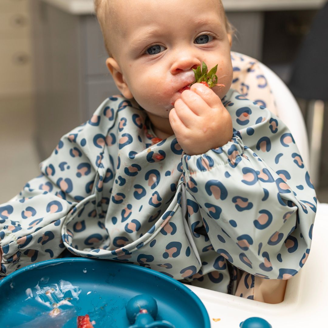 Chomp Baby Weaning