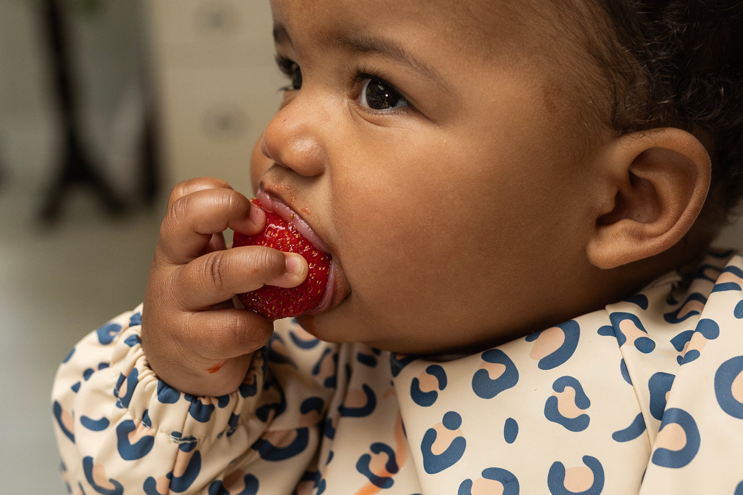 Chomp Baby Weaning